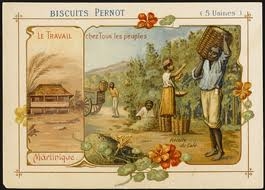 LIVE FROM MARTINIQUE: SpillingTheBeans Set Out To Find The Great ...