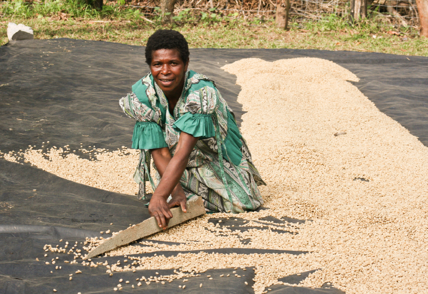 Coffee of The Day: Tanna Island From Vanuatu in the South Pacific ...