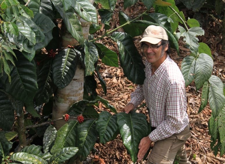 SPECIAL REPORT: Costa Rica, Taking Coffee Sustainability to a Higher ...