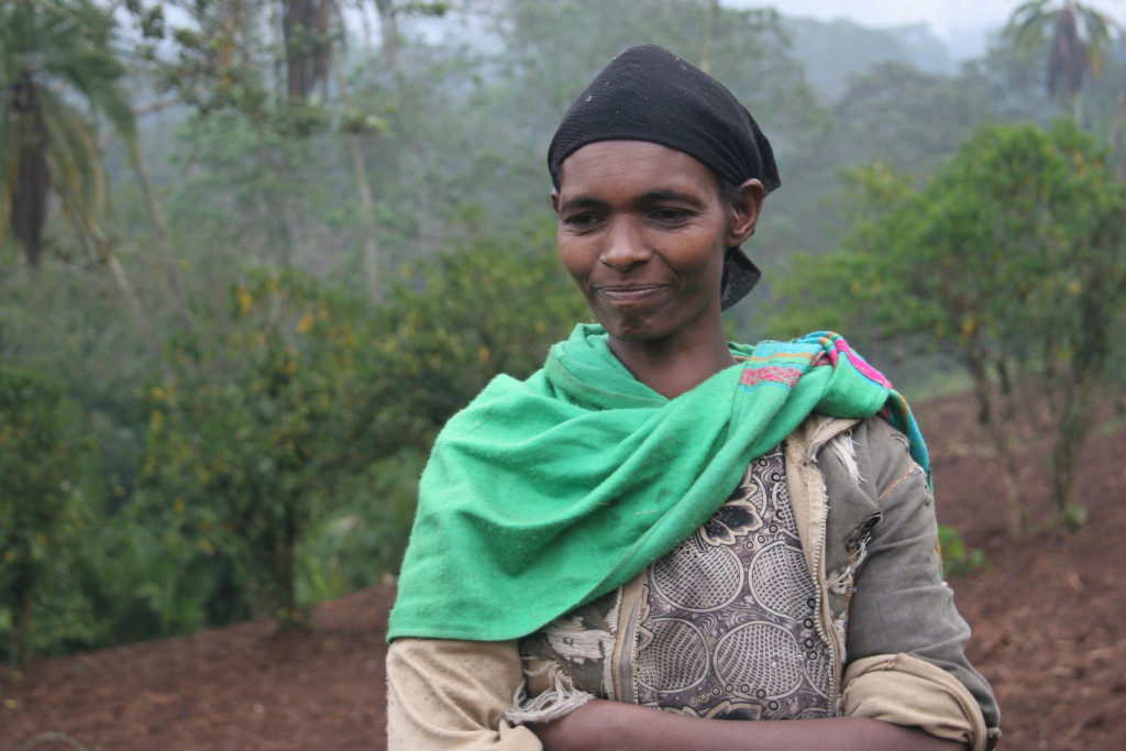 SPECIAL REPORT: Ethiopia Targets Spot As World’s Nr 3 in Coffee as ...