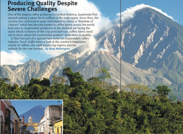 SPECIAL REPORT: Guatemala Continues To Produce Quality Coffee Despite ...