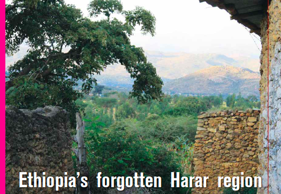 SPECIAL REPORT: Ethiopia’s Forgotten Harar Region Returns To Specialty ...